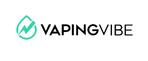 China Vape Factory E Cig Manufacturer OEM Disposable Vapes